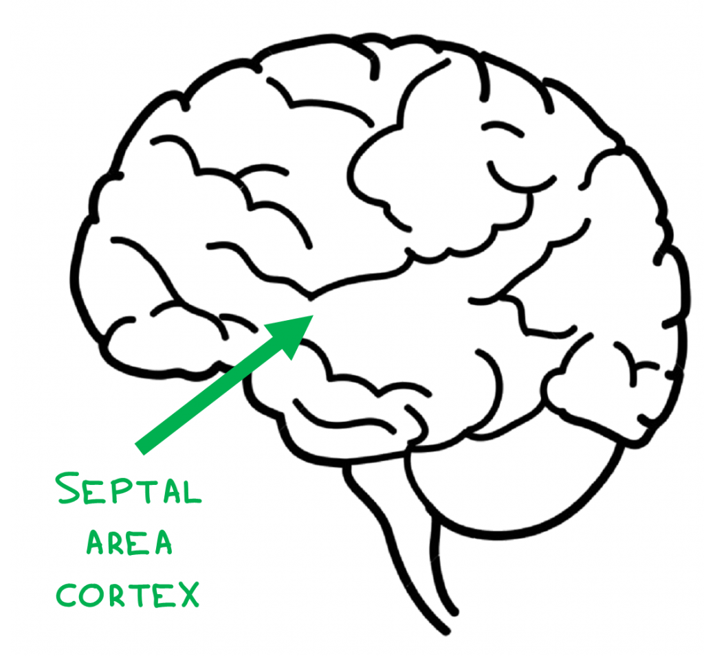 Venting Emotions | Sequent Repatterning Therapy